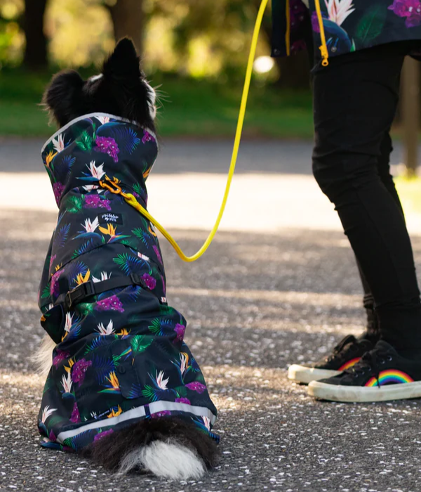 The Home of Pet Supplies in NZ | Pet Store NZ | Shine Pets