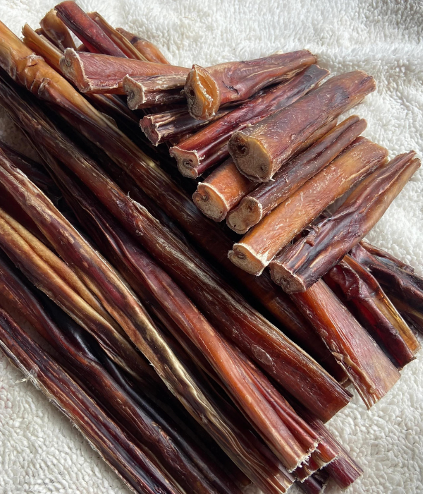 The Home of Pet Supplies in NZ | Pet Store NZ | Shine Pets