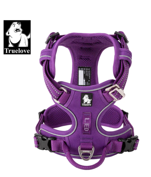 The Home of Pet Supplies in NZ | Pet Store NZ | Shine Pets