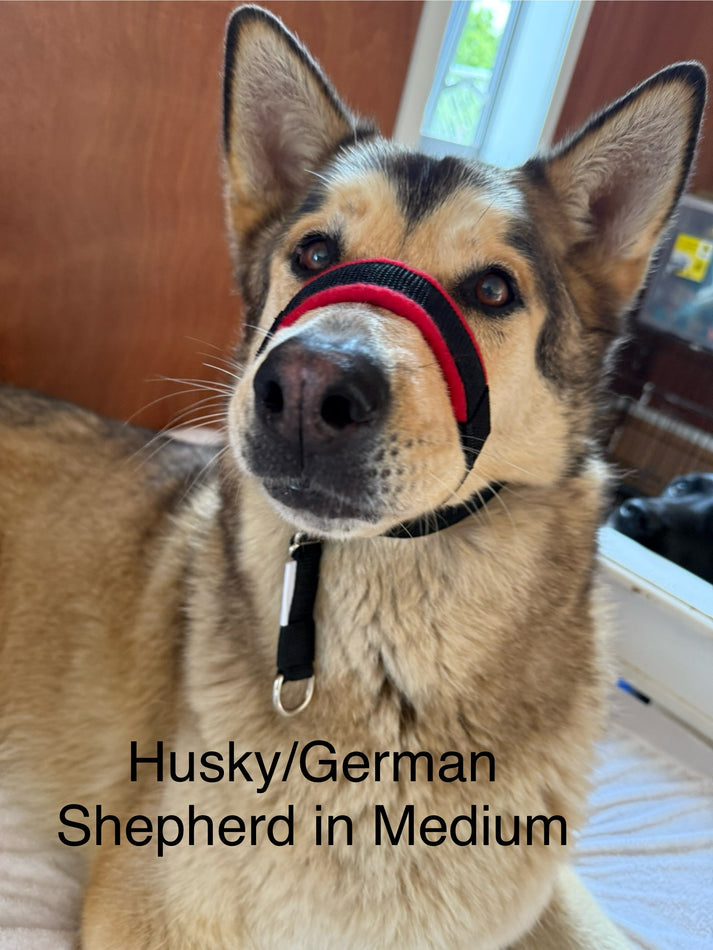 Buy Head Halters (Fleece-Lined) For Your Dog Online At Shine Pets ...