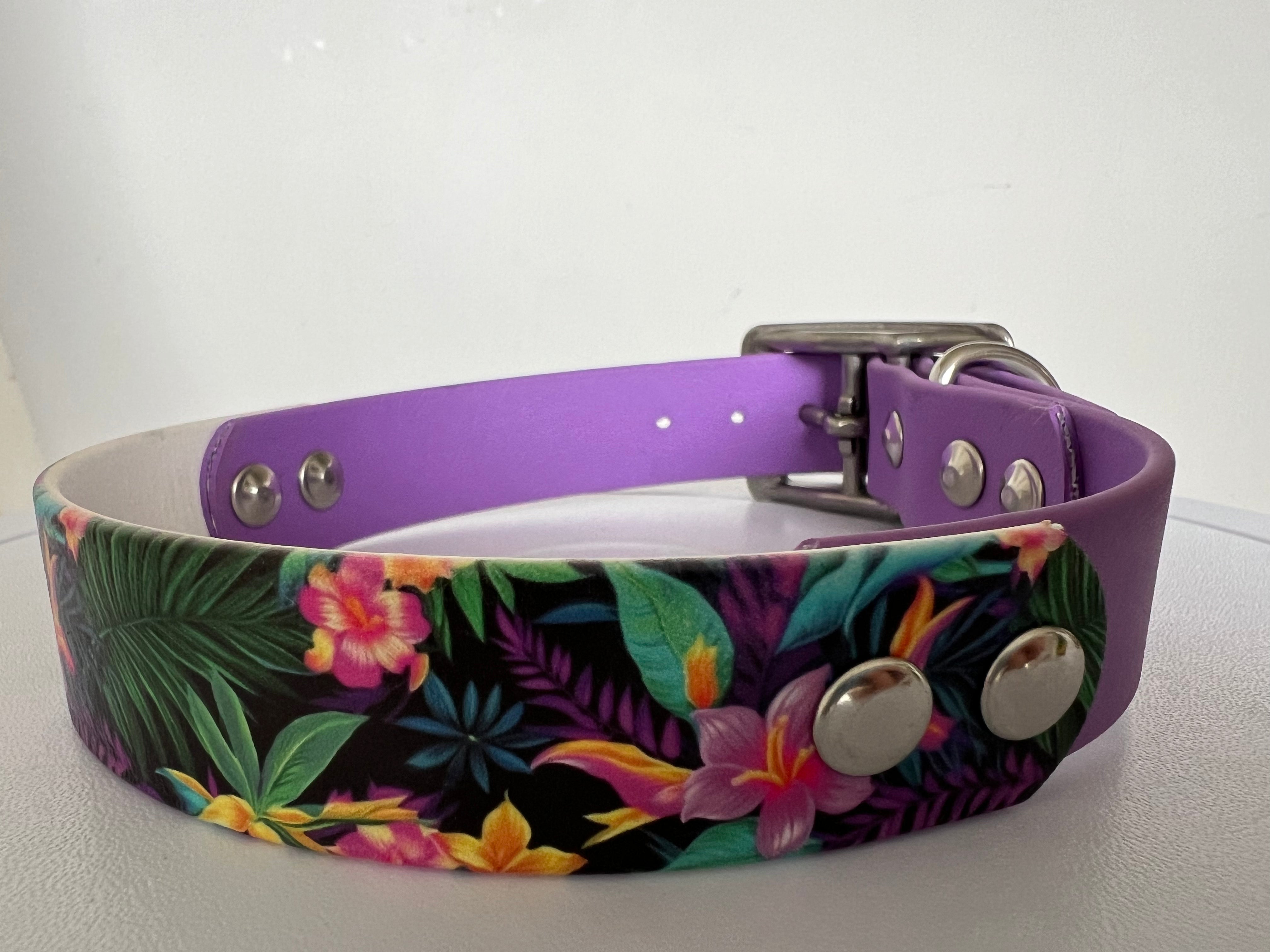 BioThane Custom Buckle UV Printed Dog Collar 🤩 – Shine Pets