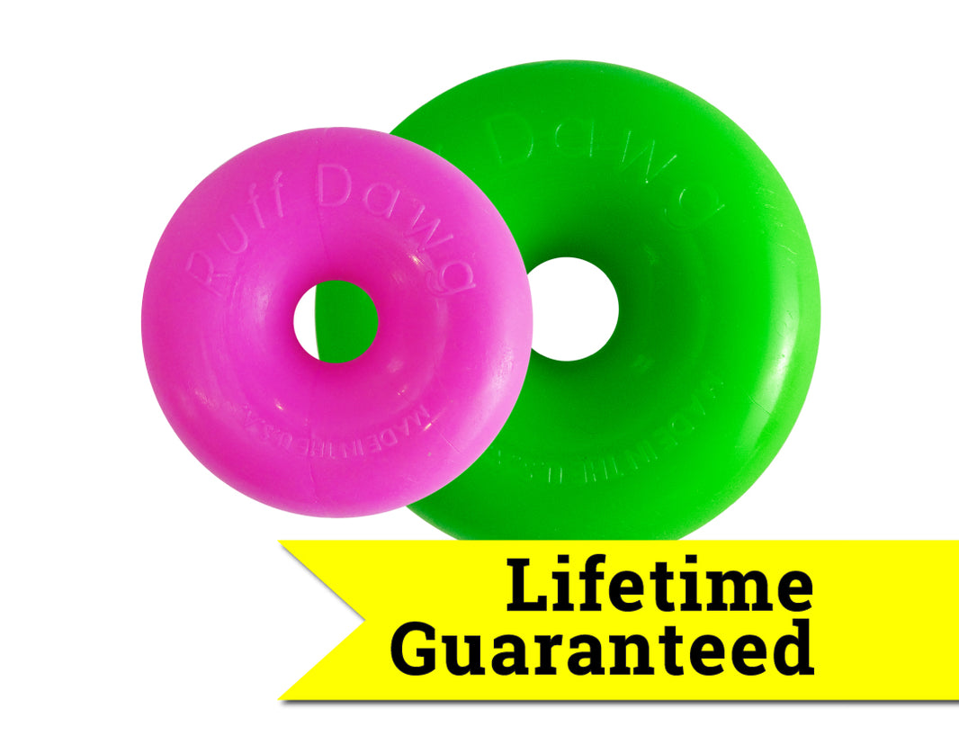 The Home of Pet Supplies in NZ | Pet Store NZ | Shine Pets