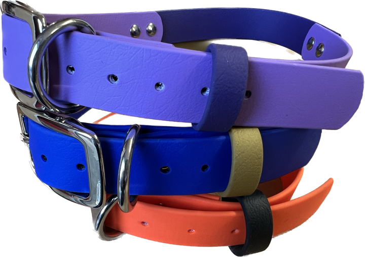 BioThane Dog Collars and Lead Range in NZ | Shine Pets
