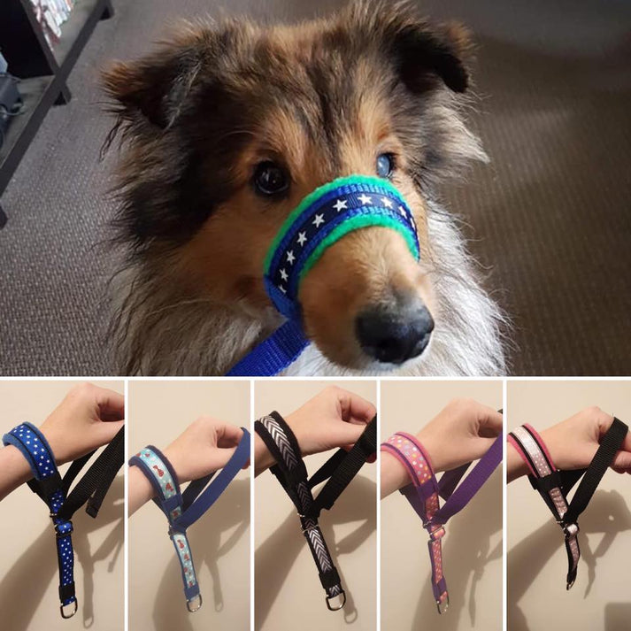 Buy Head Halters (Fleece-Lined) For Your Dog Online At Shine Pets ...