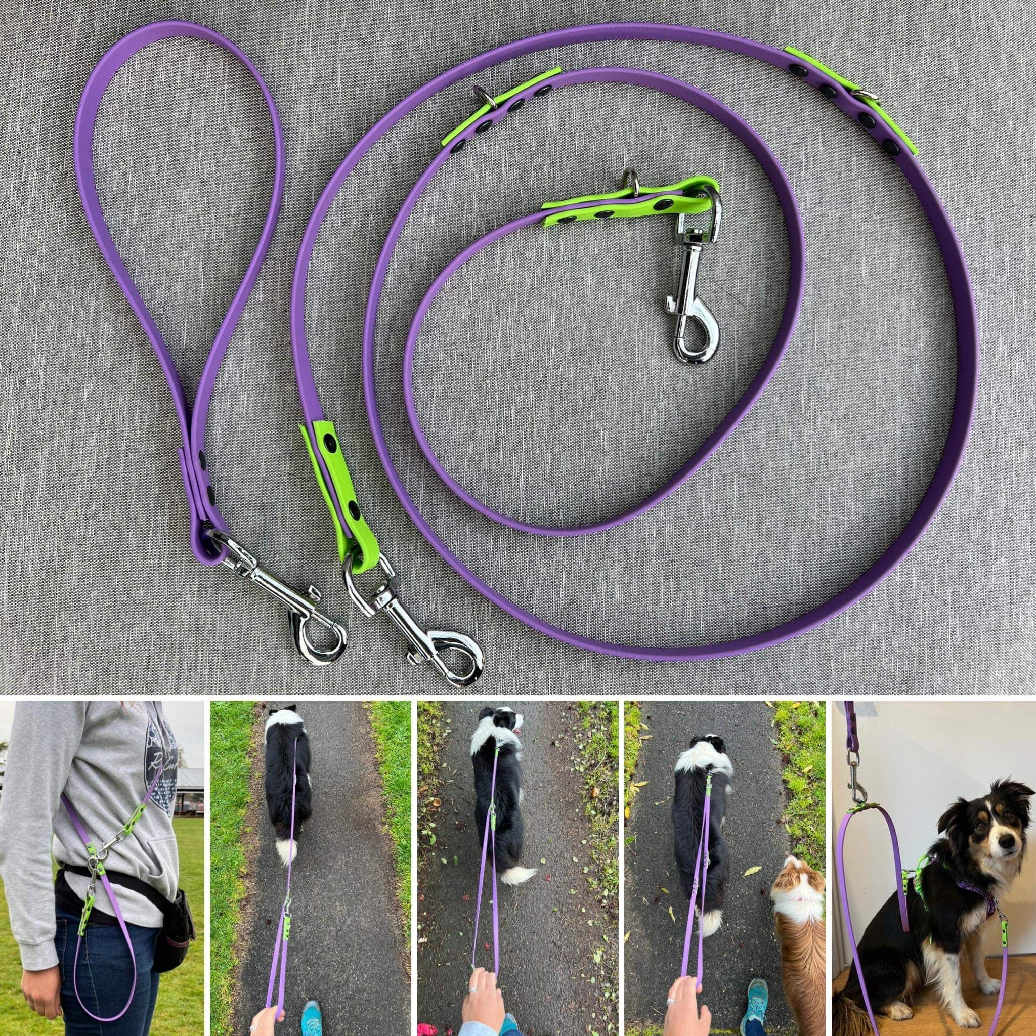 BioThane Multi Function Dog Lead – Shine Pets